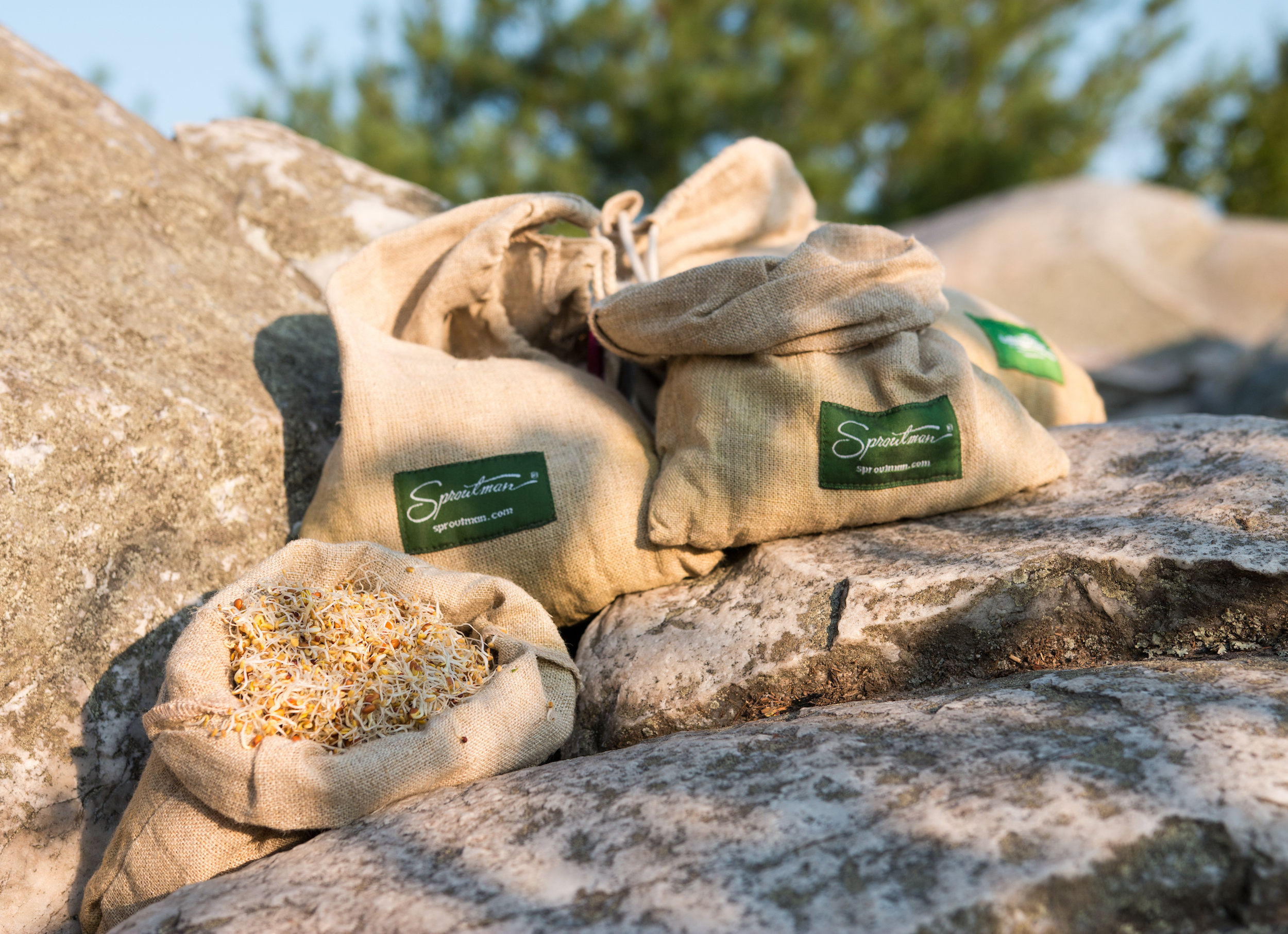 A Beginner’s Guide to Sprouting – Sproutman SproutLab