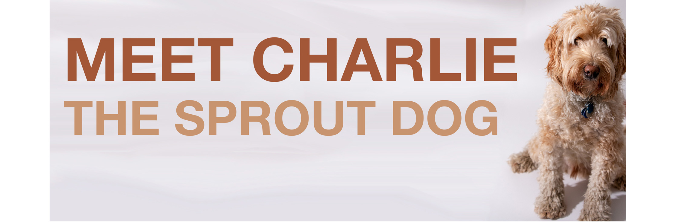 2018 – Sproutman SproutLab