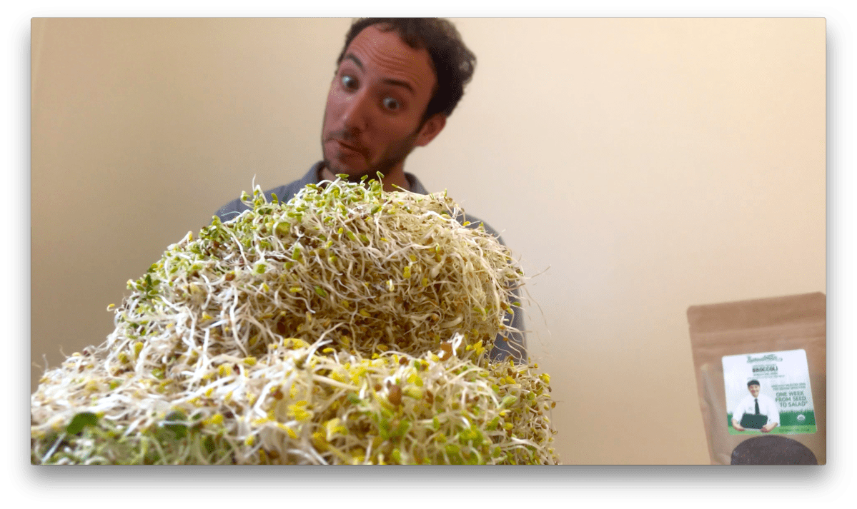 Autumn Salad – Sproutman SproutLab