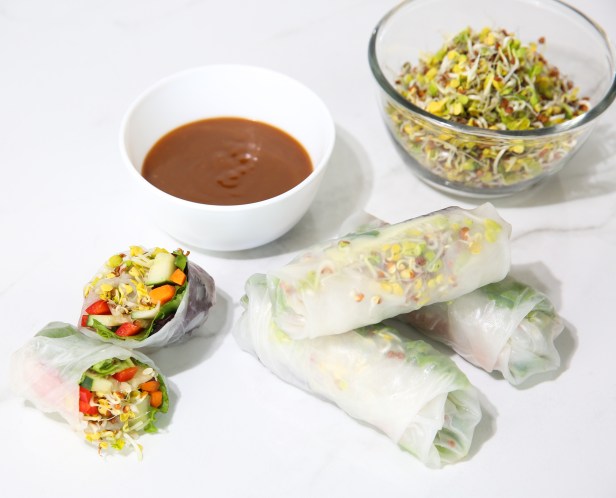 Refreshing Sprout Summer Rolls – Sproutman SproutLab