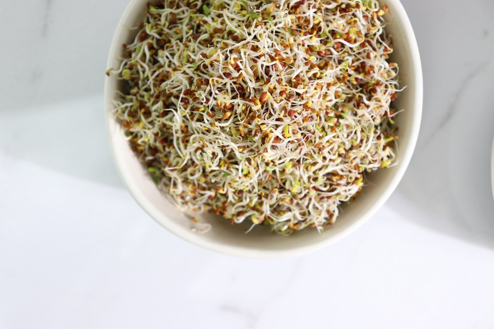 RECIPE: Meet Our NEW Blend, Alfa-Broc! – Sproutman SproutLab