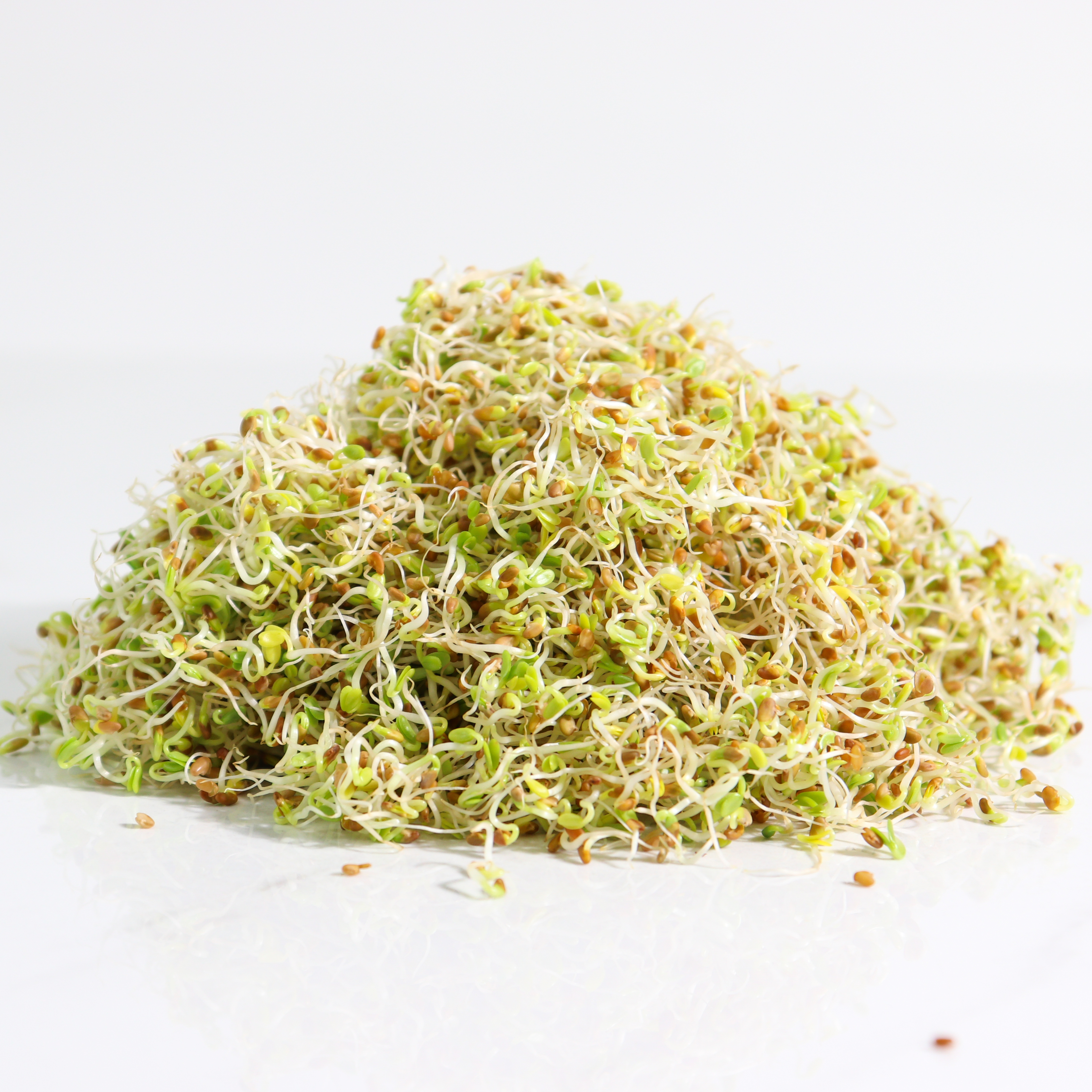 Red Clover Macro Bowl with Tahini Dressing – Sproutman SproutLab
