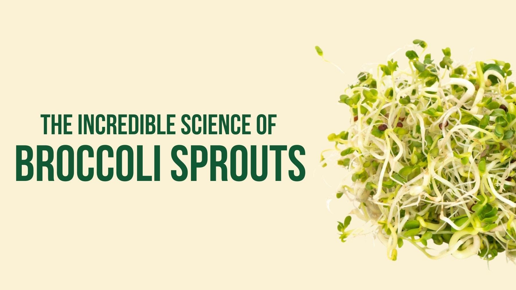 Sproutman SproutLab – Powered By Sprouts®